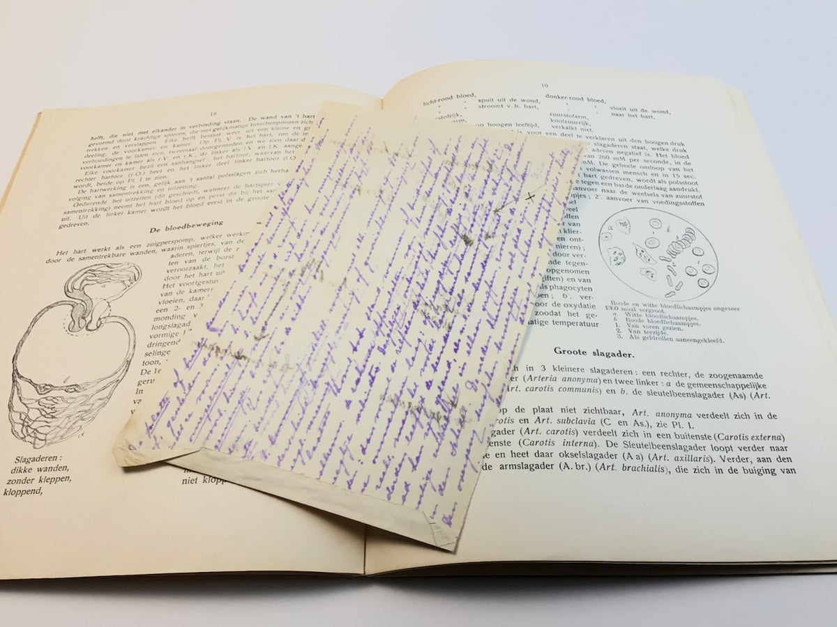 1915 Dutch Anatomy Book with Moveable Models, The human body – McClosky ...