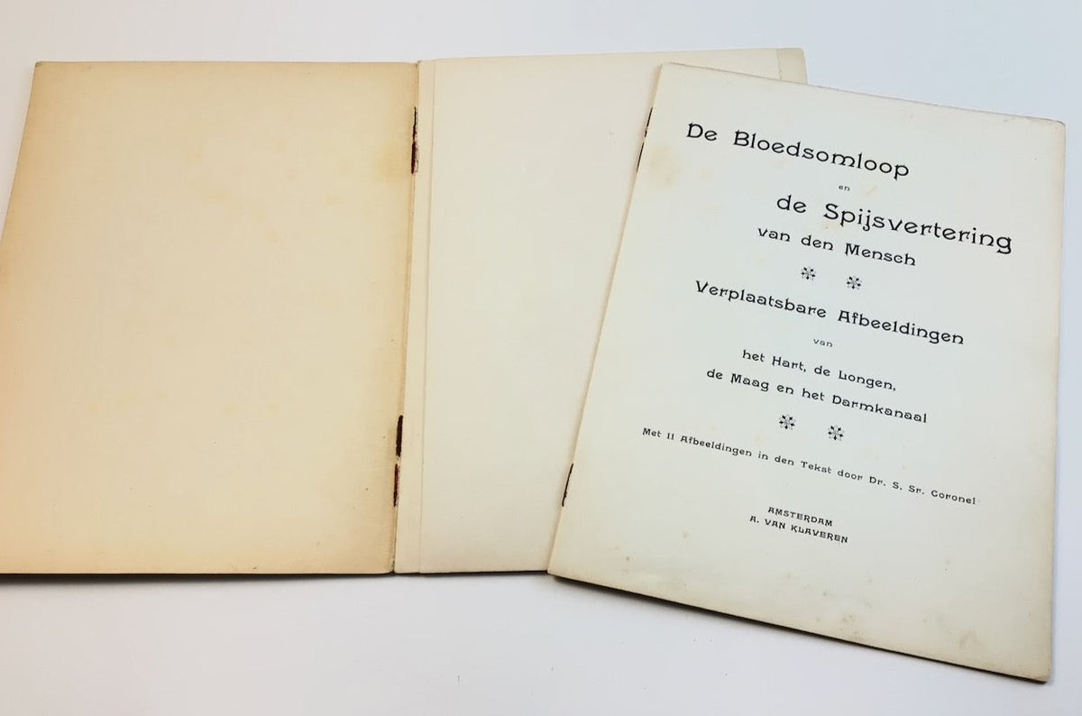 c.1900 Dutch Anatomy Book with Moveable Models, The Circulatory and Di ...