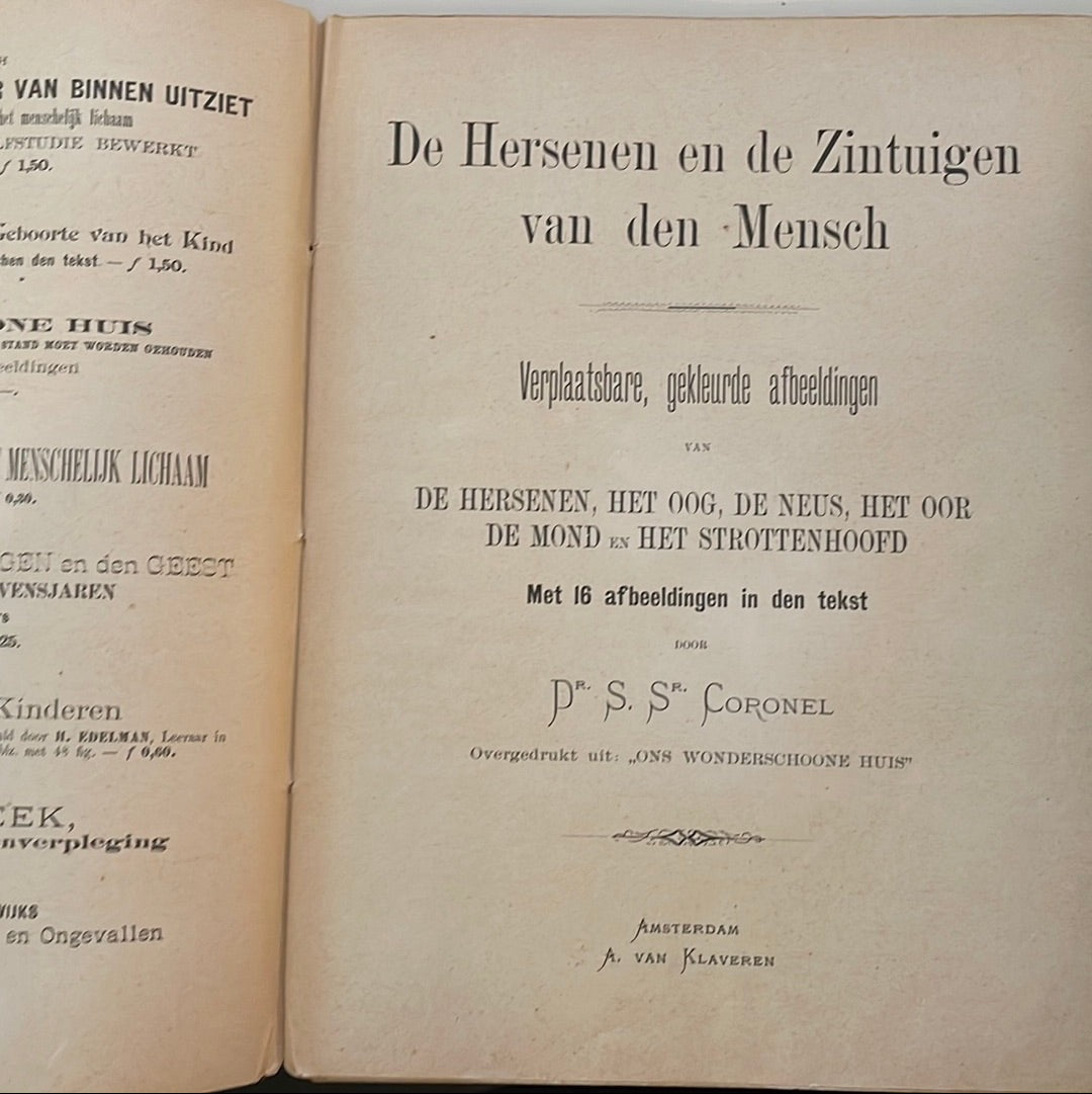 c.1890 Dutch Anatomy Book with Moveable , The Brain and the Senses of ...
